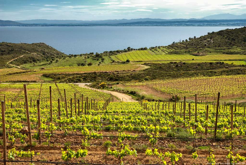 Guia de l'Alt Empordà | 2025 | Girona Explorers